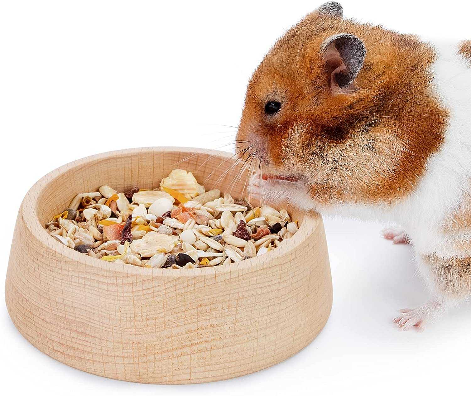 Hamster Food: Dos and The Taboos